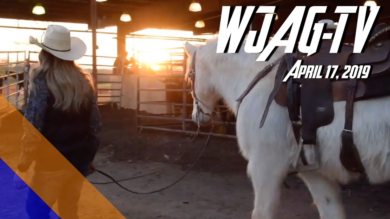 WJAG TV Weekly News – April 17, 2019 – Cedar BluePrints Magazine